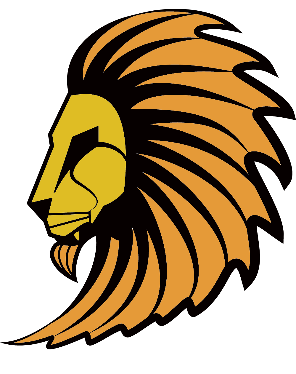 Tiger and Lion Head Vector Bundle